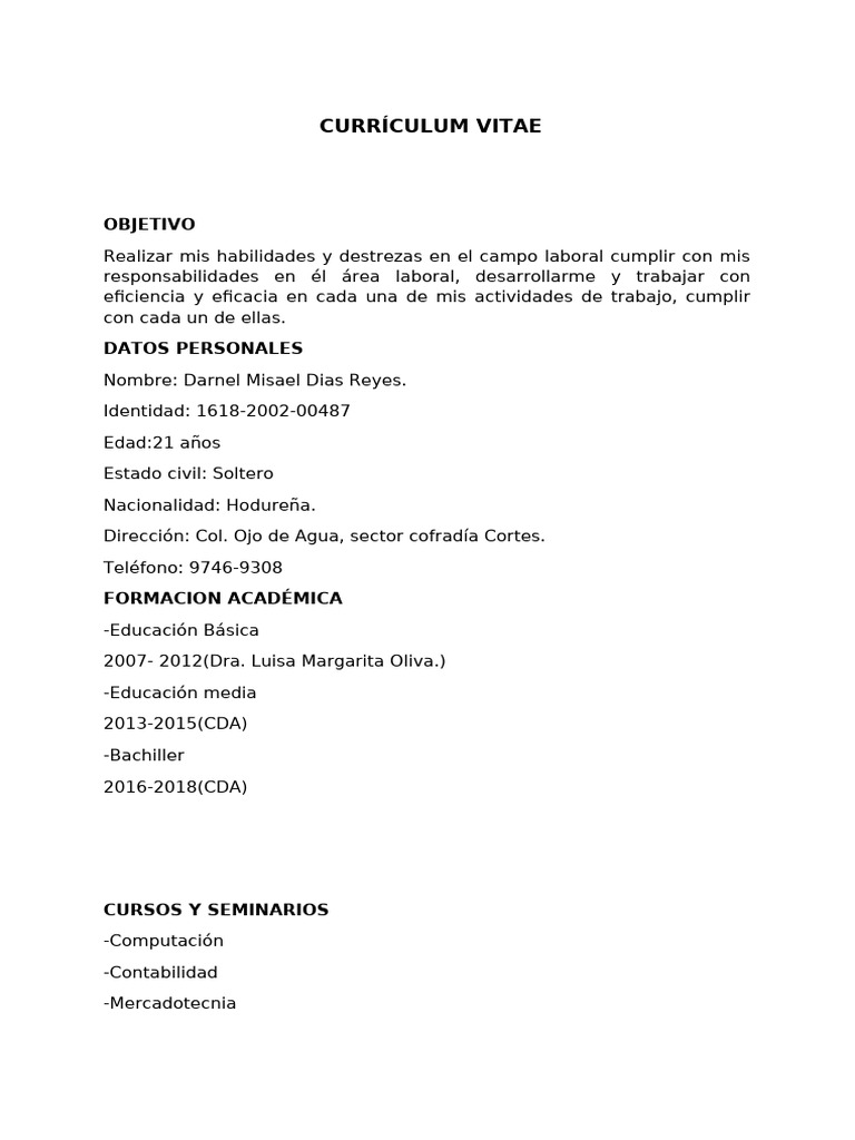 Currículum Darnel Dias Reyes 2023 | PDF