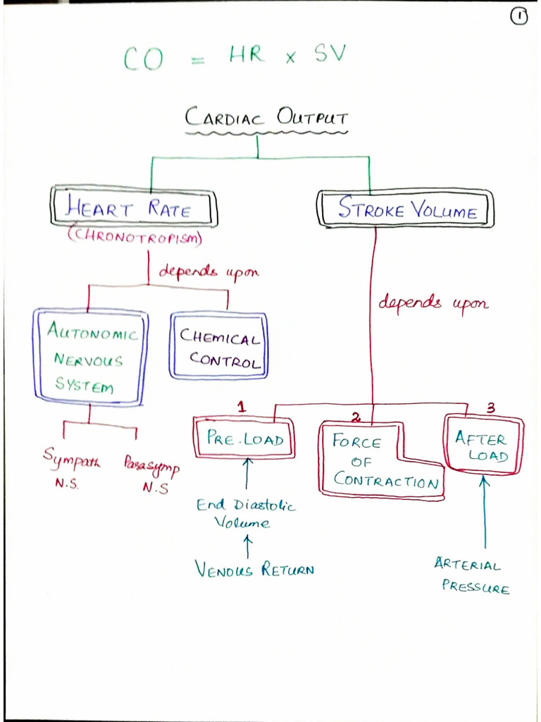 Cardiac Output | PDF