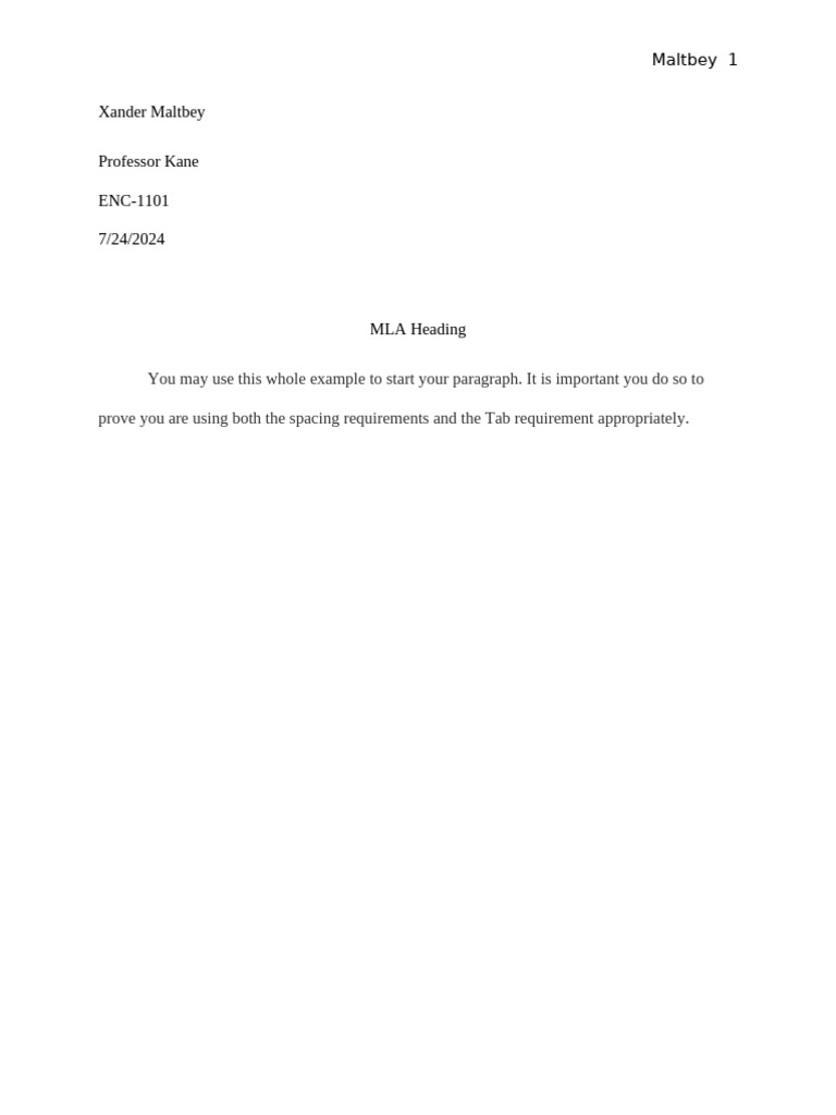 MLA Formatting Guide for Essays | PDF