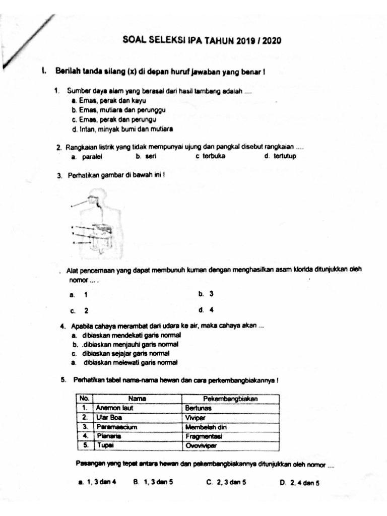 Soal Osn Ipa SD | PDF