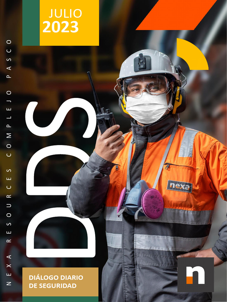 Dds 2023 Julio Verde v4 | PDF | Cinturón de seguridad | Suelo