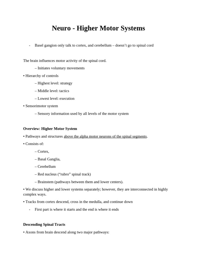 Neuro - Higher Motor Systems | PDF | Basal Ganglia | Cerebellum