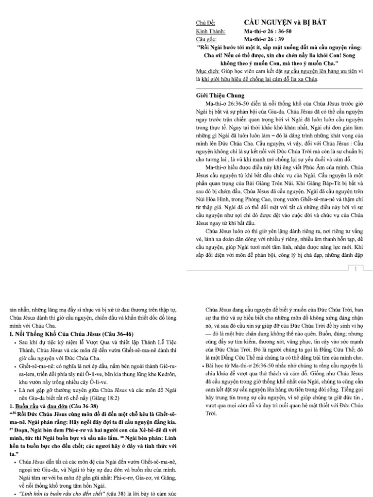 Bai 12 TCN Cau Nguyen Va Bi Bat | PDF