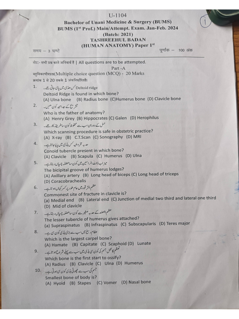 BUMS 1ST YEAR PYQ | PDF