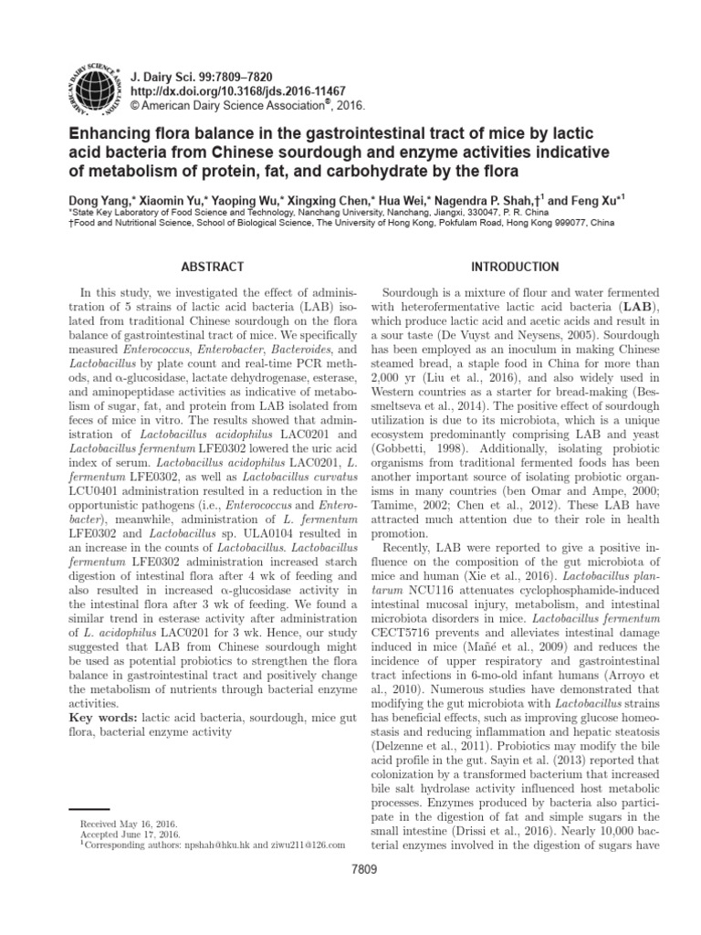 Enhancing Flora Balance in The Gastrointestinal Tract of Mice by Lactic ...