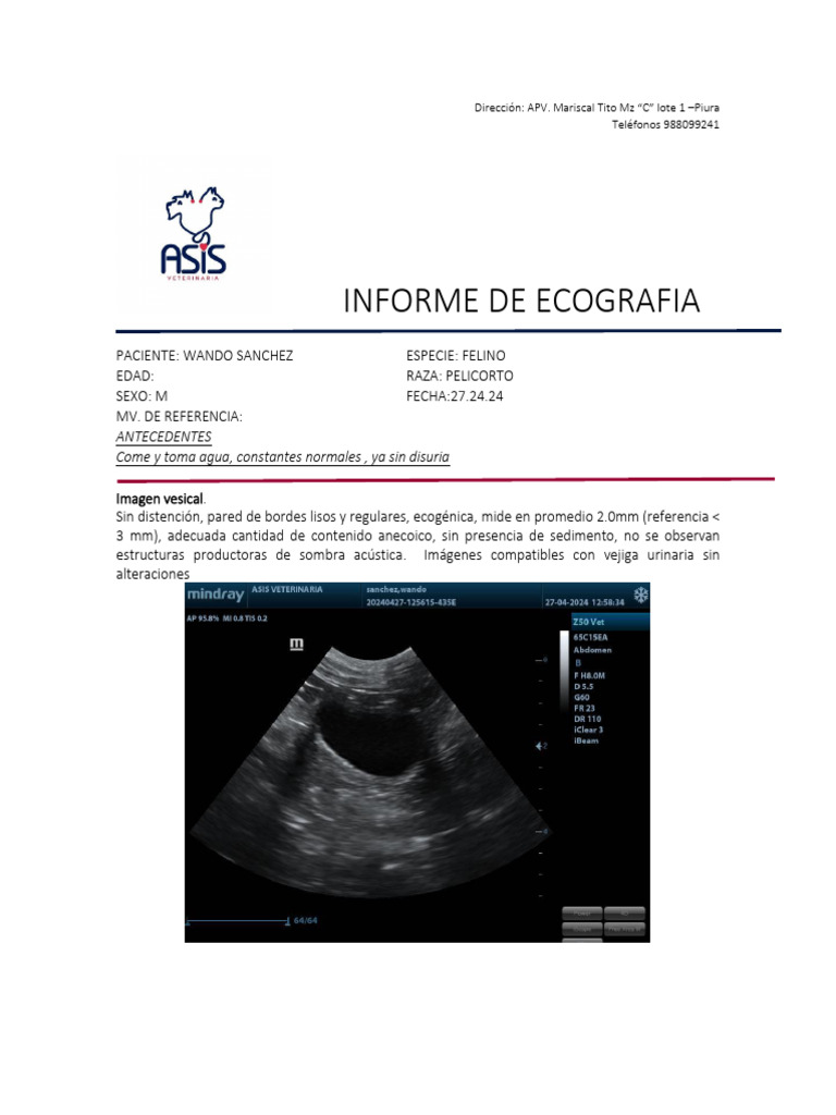 Informe de Ecografia Wando Sanchez 27.04.24 | PDF