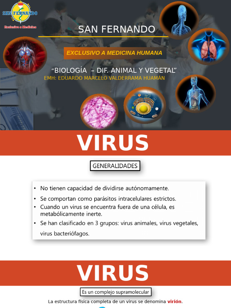 AULA 601 Y 602 - VIRUS 3s 42260 0 | PDF