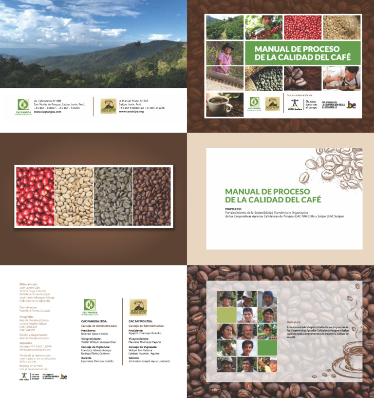 Manual de Proceso de La Calidad Del Cafe Selva Central Peru | PDF