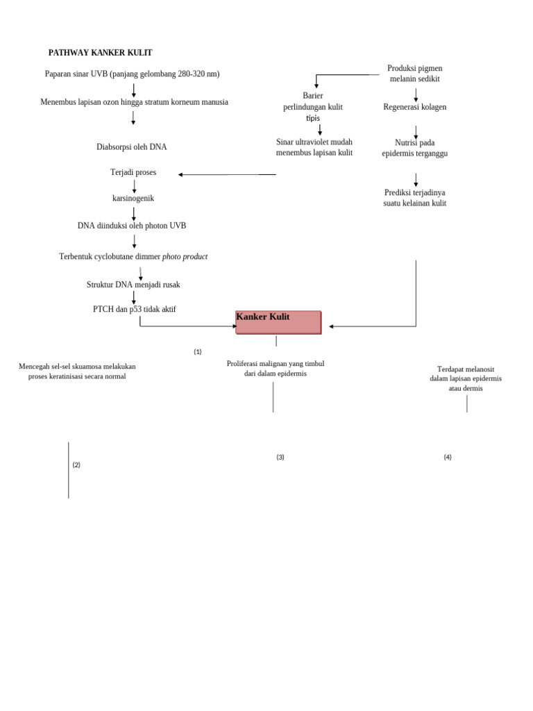 pathway-kanker-kulit | PDF