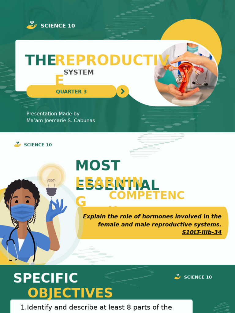 Male Reproductive System Biology Presentation in A Bold Pink Style ...