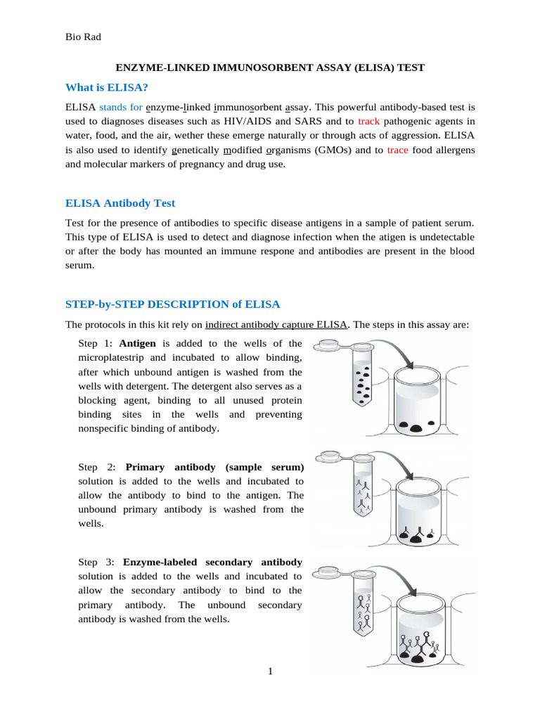 ELISA Test Protocol and Overview | PDF | Elisa | Immunology