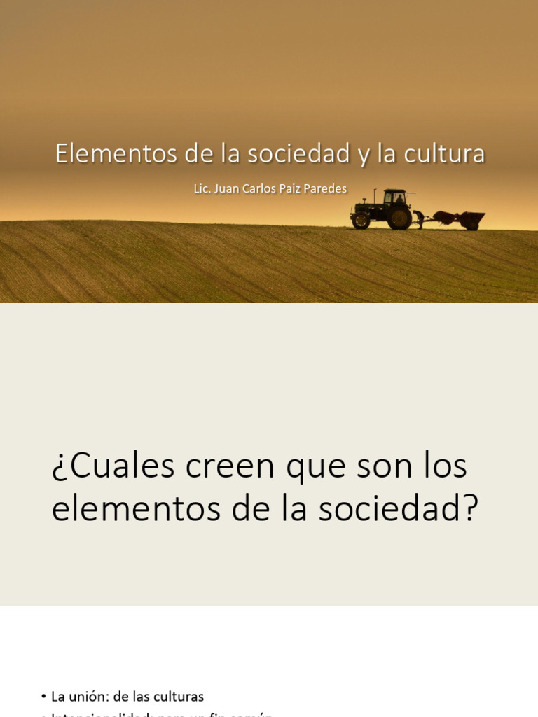 Elementos de La Sociedad | PDF | Sociedad | Estatus social
