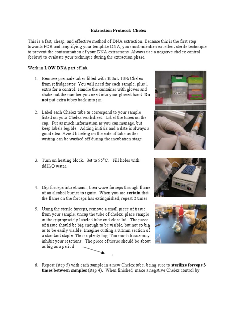 Chelex DNA Extraction Protocol Guide | PDF | Polymerase Chain Reaction ...