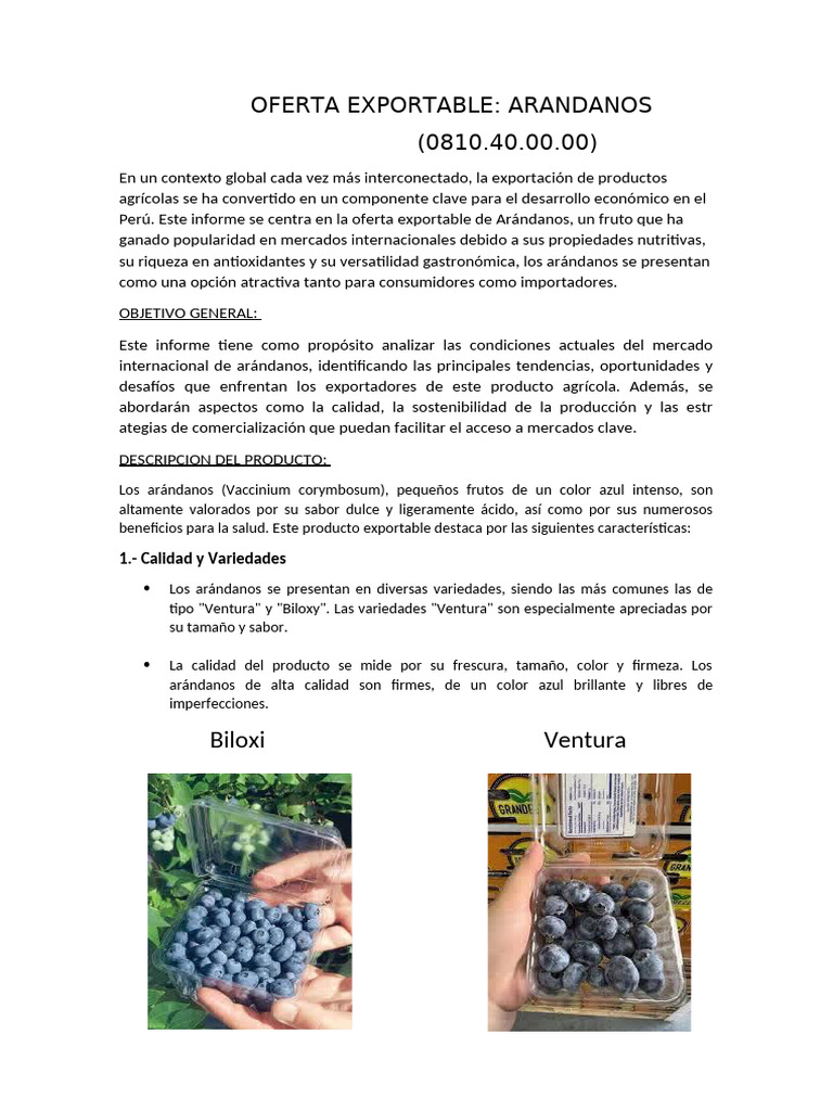 Oferta Exportable | PDF | Comercio | Mercado (economía)