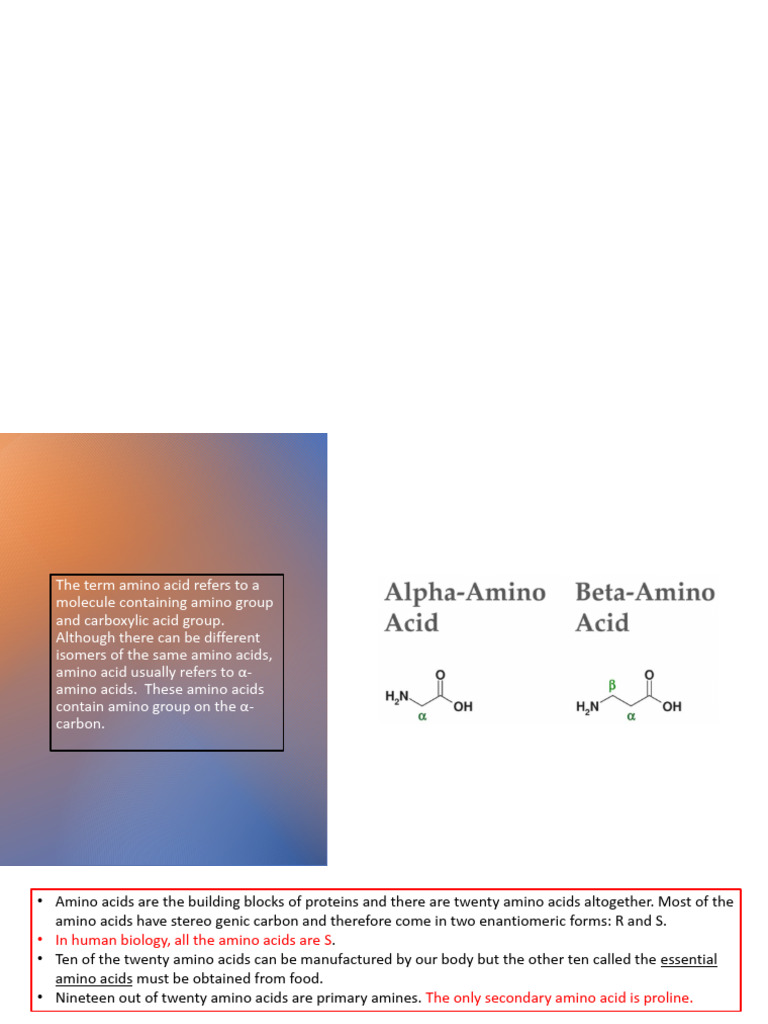 Lecture 4 Amino Acids and Proteins Structures | PDF | Amino Acid | Proteins