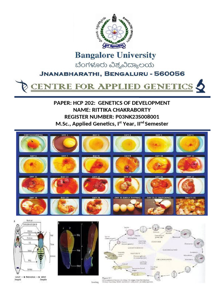 Genetics of Development | PDF
