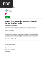 Osmosis in Red Onion Cells Experiment | PDF | Osmosis | Biology