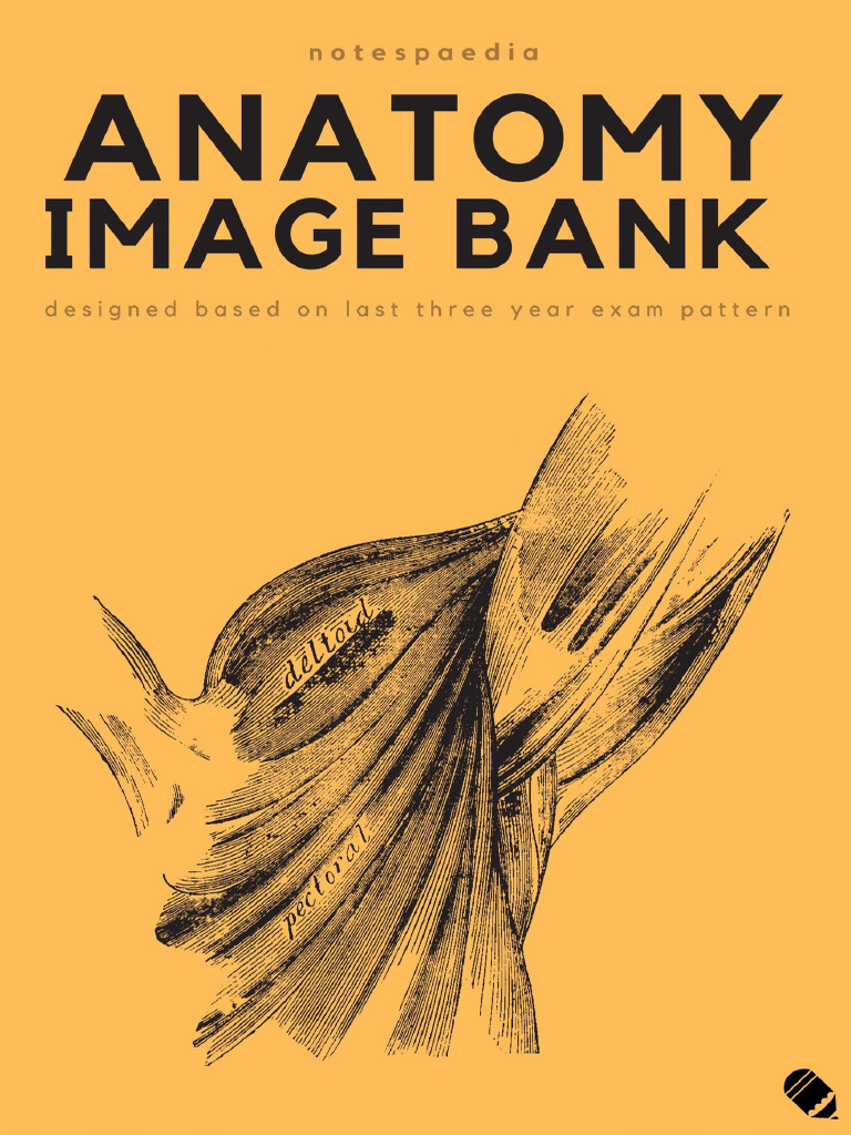 Pages From Anatomy Image Bank | PDF | Human Anatomy