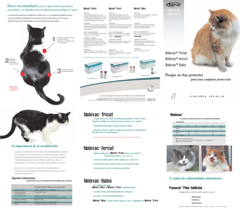 Folleto Nobivac® Tricat - tcm86-90341 | PDF | Rabia | Virus