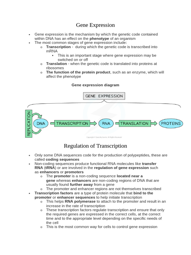 Gene Expression | PDF | Gene Expression | Gene