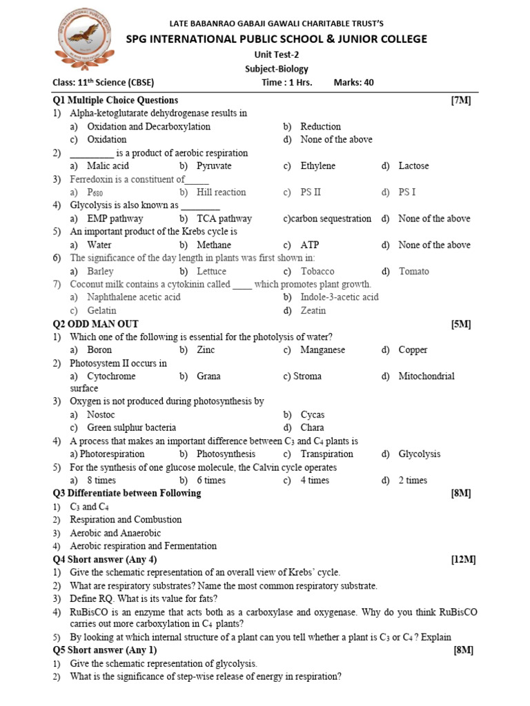 Biology Unit Test for 11th Grade | PDF | Cellular Respiration | Diet ...