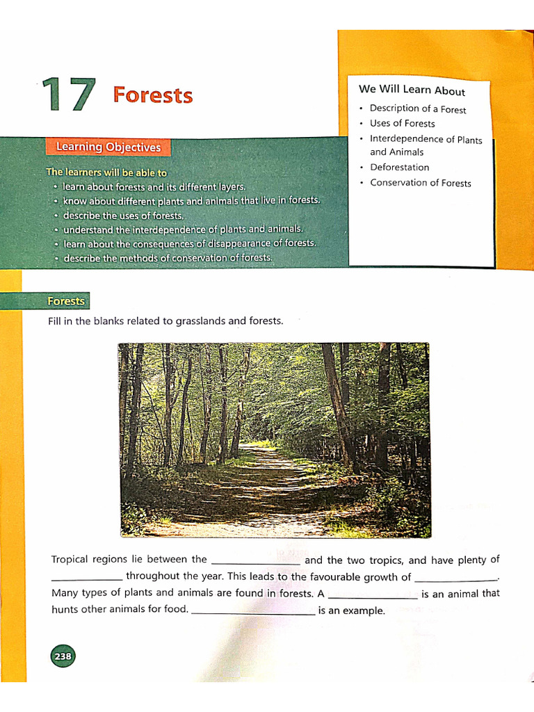 Forest | PDF