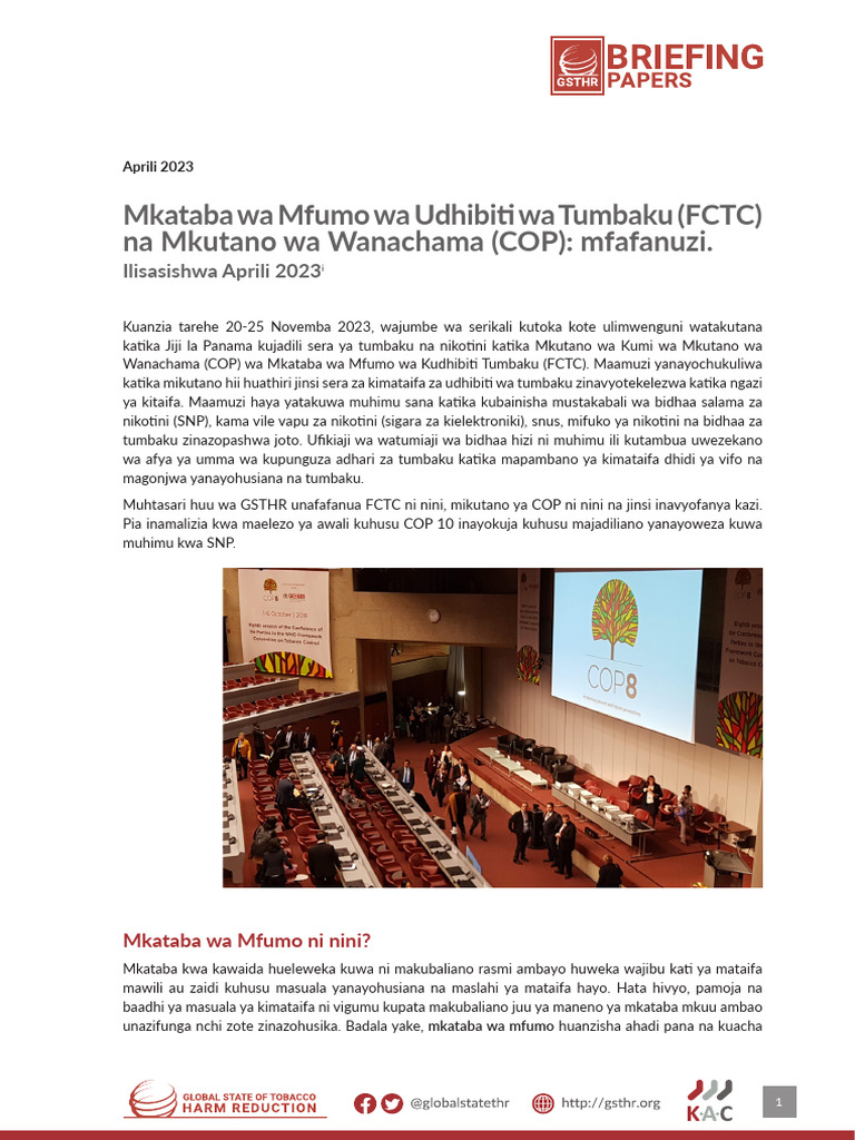 Briefing Paper FCTC and COP An Explainer Updated 2023 Swahili | PDF