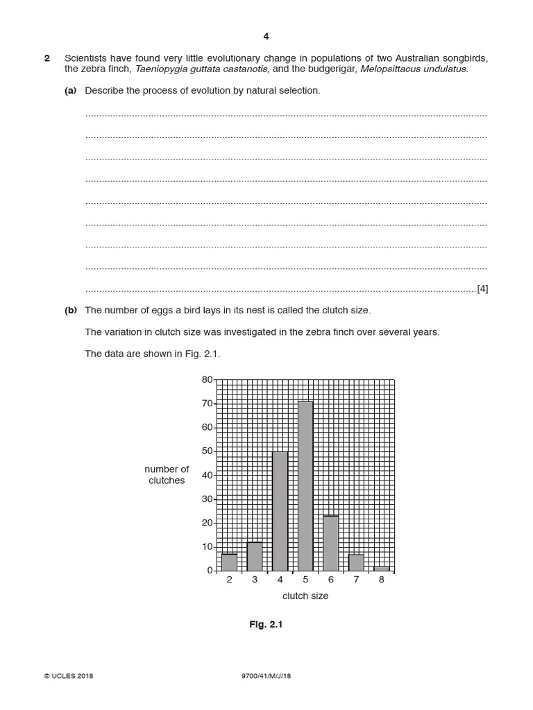 natural selection exercise | PDF | Ornithology | Birds