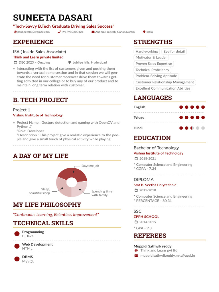 AltaCV Template | PDF