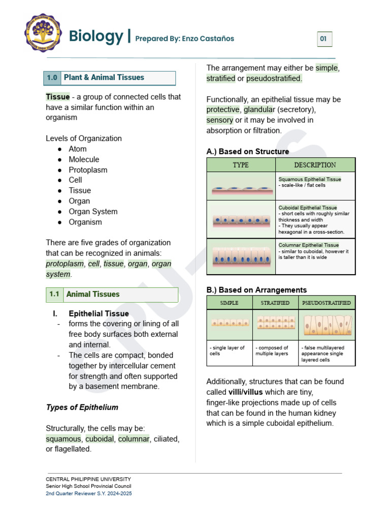 Biology (1) | PDF | Rna | Tissue (Biology)