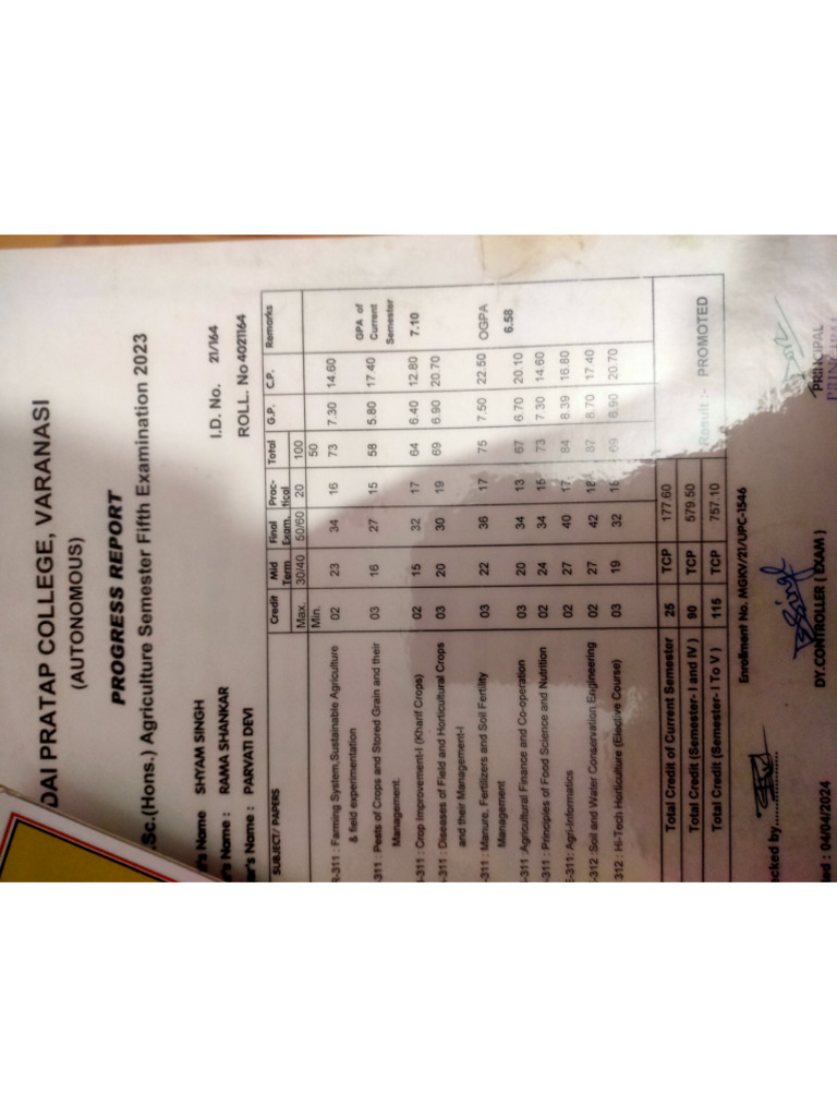 5th semester result | PDF