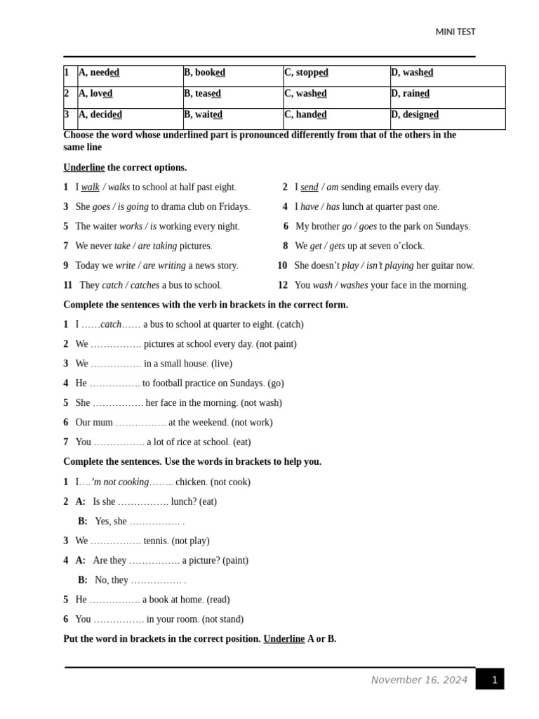 English Grammar Mini Test | PDF