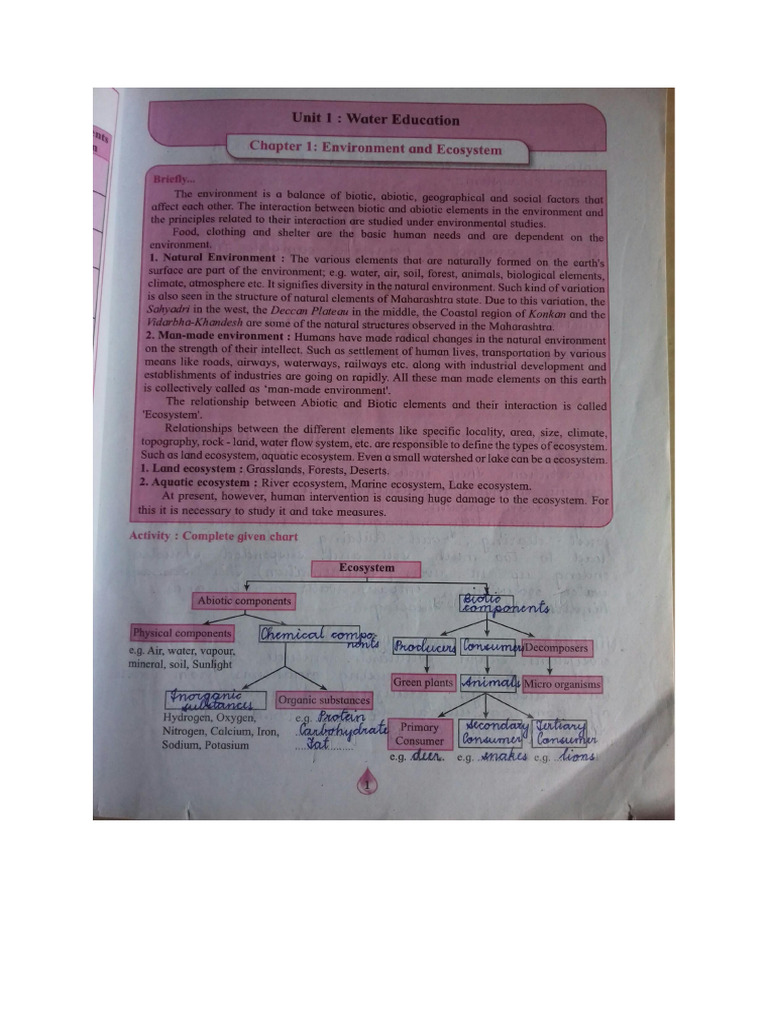 STD X Water Security Workbook | PDF