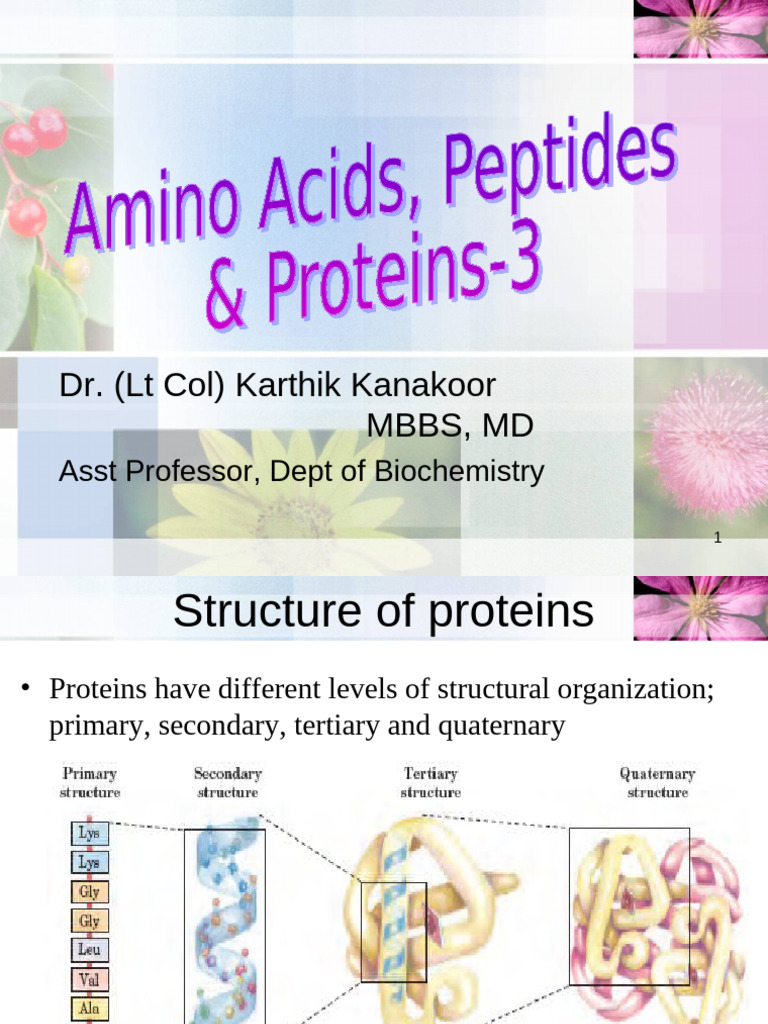 Amino Acids & Proteins 3 BDS | PDF | Proteins | Amino Acid