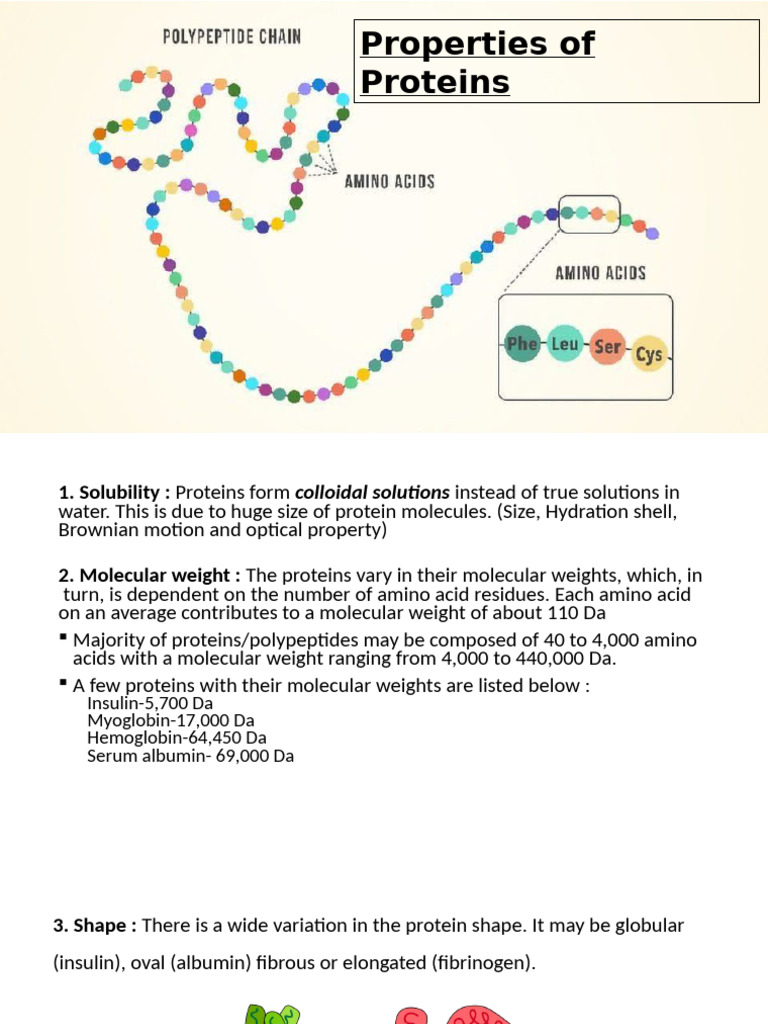 Key Properties and Behavior of Proteins | PDF | Denaturation ...