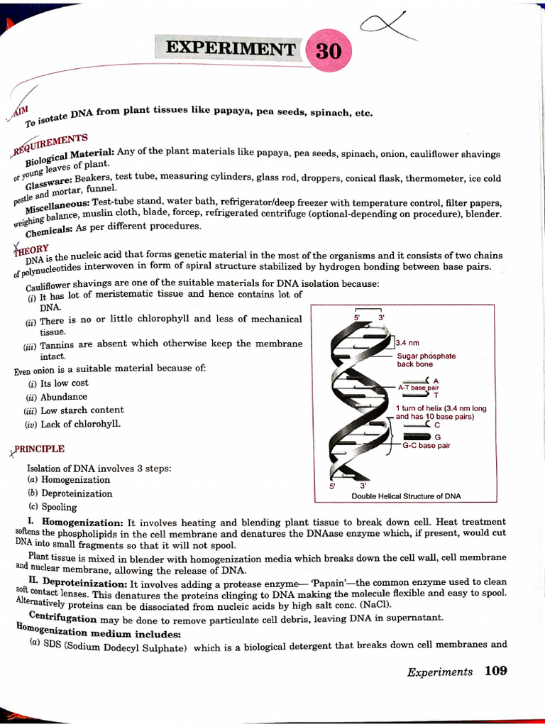 Biology Practical 1 | PDF