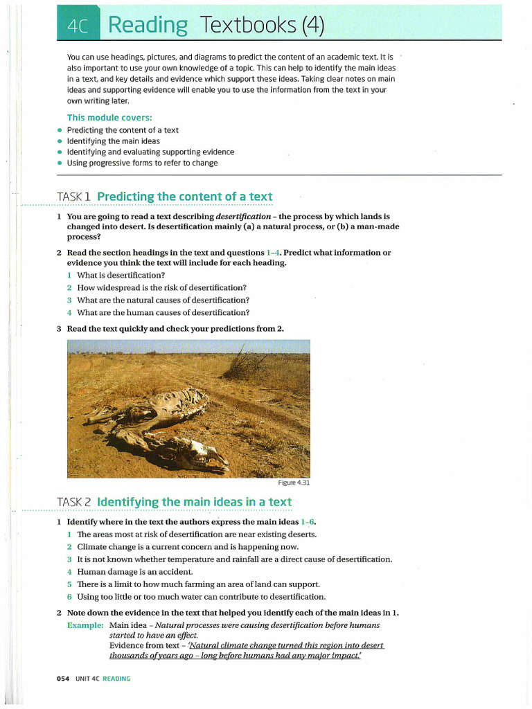 Reading 4 C | PDF
