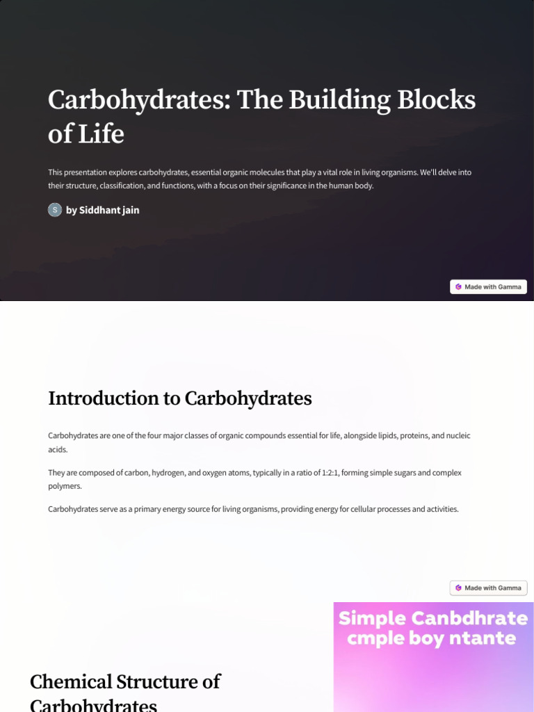 Carbohydrates: Essential Building Blocks | PDF | Carbohydrates ...