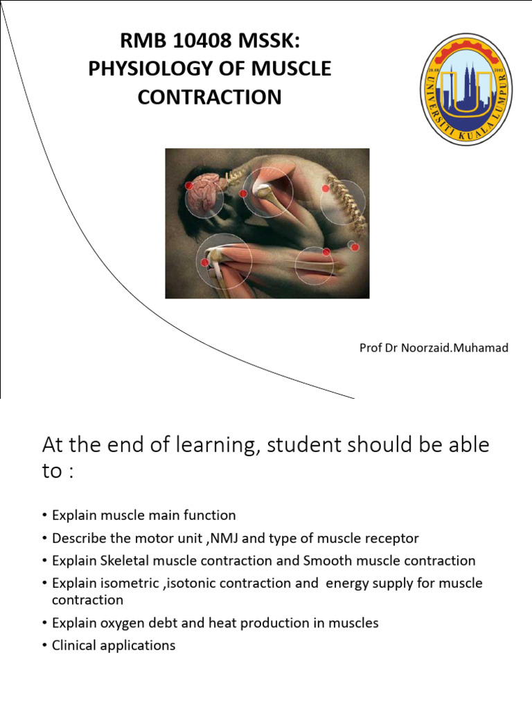 Muscle Contraction Physiology Guide | PDF | Muscle Contraction | Neuromuscular Junction