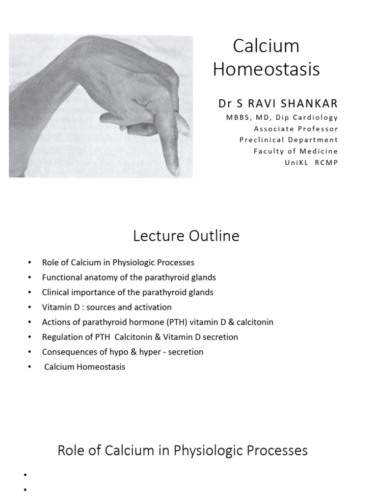 PL2 - Calcium Homeostasis - 2021 | PDF | Homeostasis | Calcium