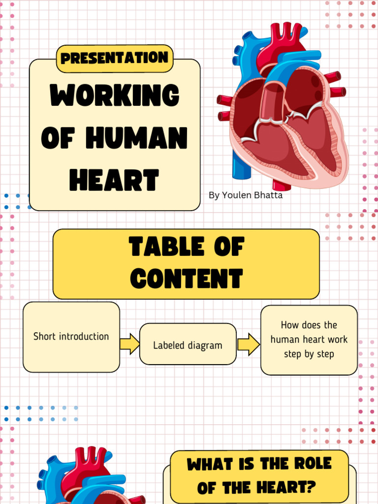 Working of human heart | PDF