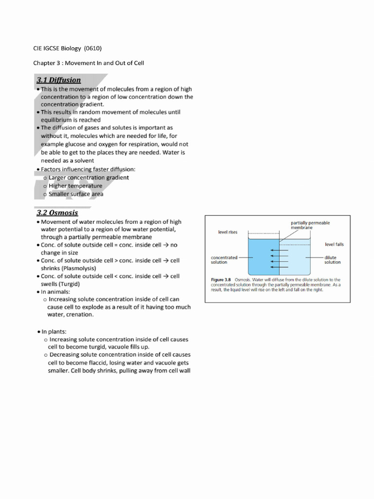 Diffusion & osmosis | PDF