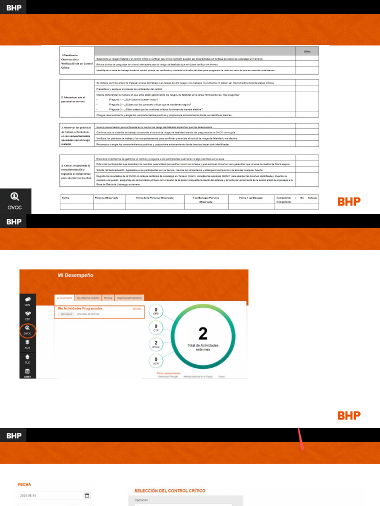 Guía Completa para OVCC en Flex | PDF