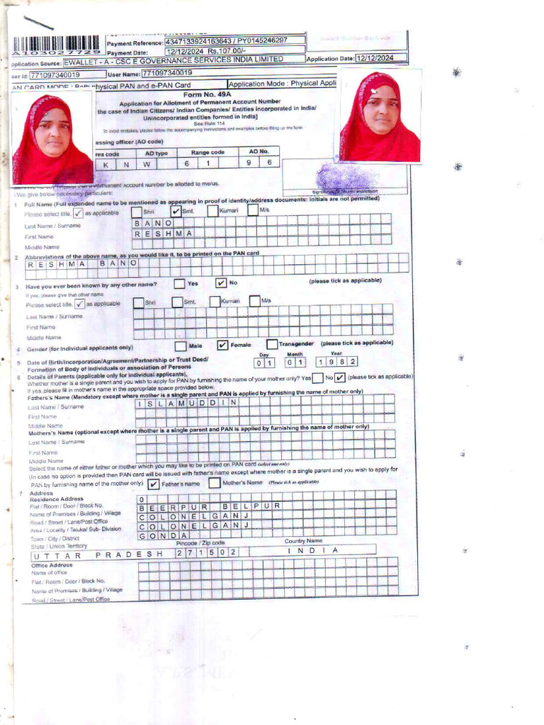 Pan Form | PDF