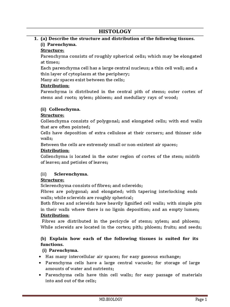 Histology Guide | PDF | Bone | Epithelium