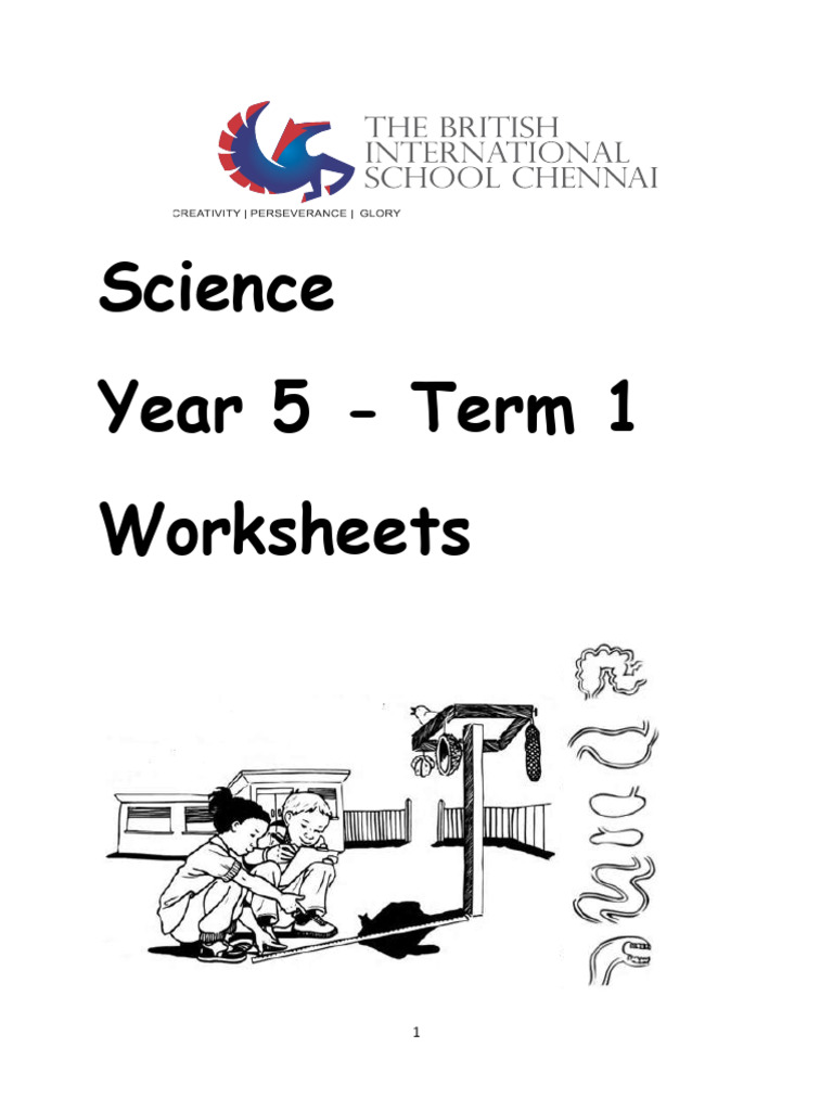 Year 5 Science Term 1 (2) | PDF | Water | Earth