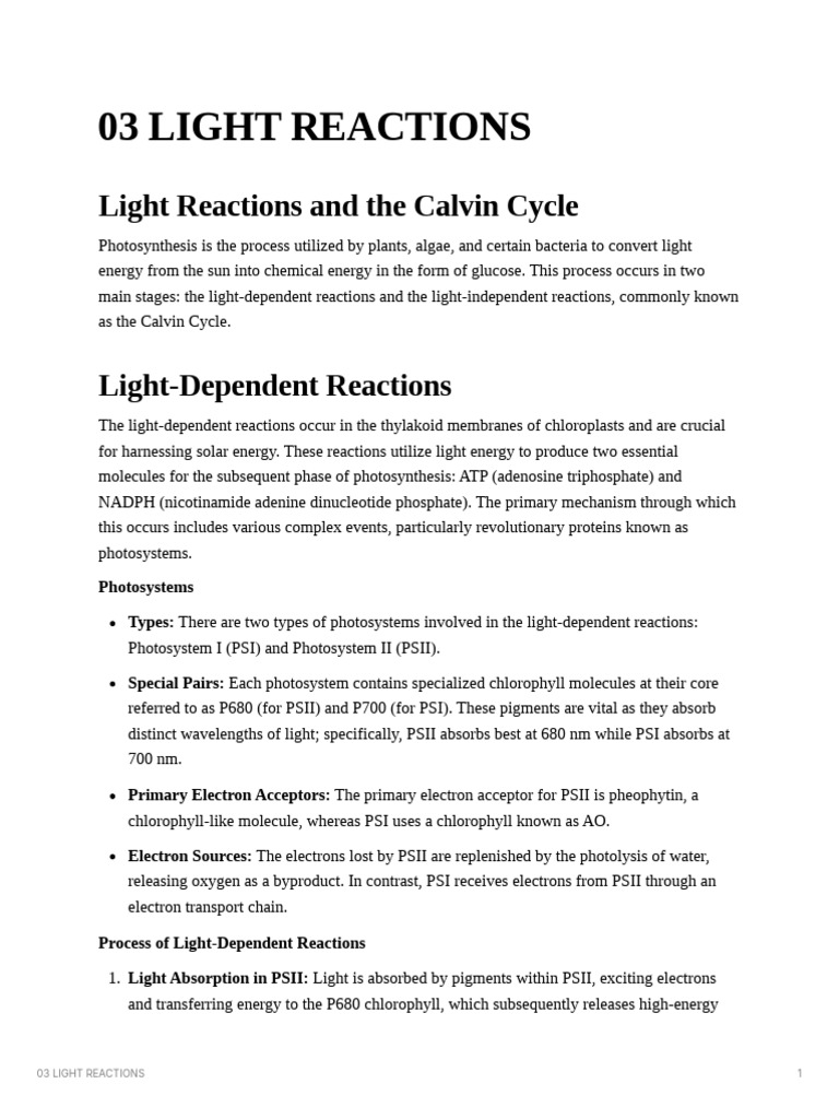 03 Light Reactions Pdf Photosynthesis Adenosine Triphosphate