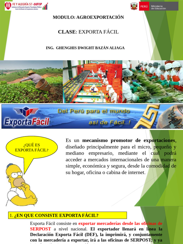 Clase 3. Exporta Facil | PDF | aduana