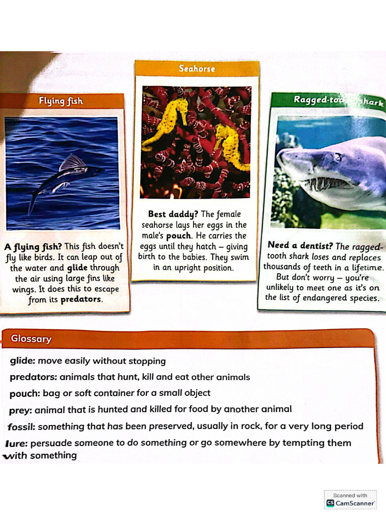 Weekend Project Homework | PDF