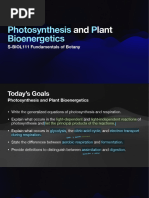 Photosynthesis Class 11 Biology NCERT | PDF | Photosynthesis | Chloroplast